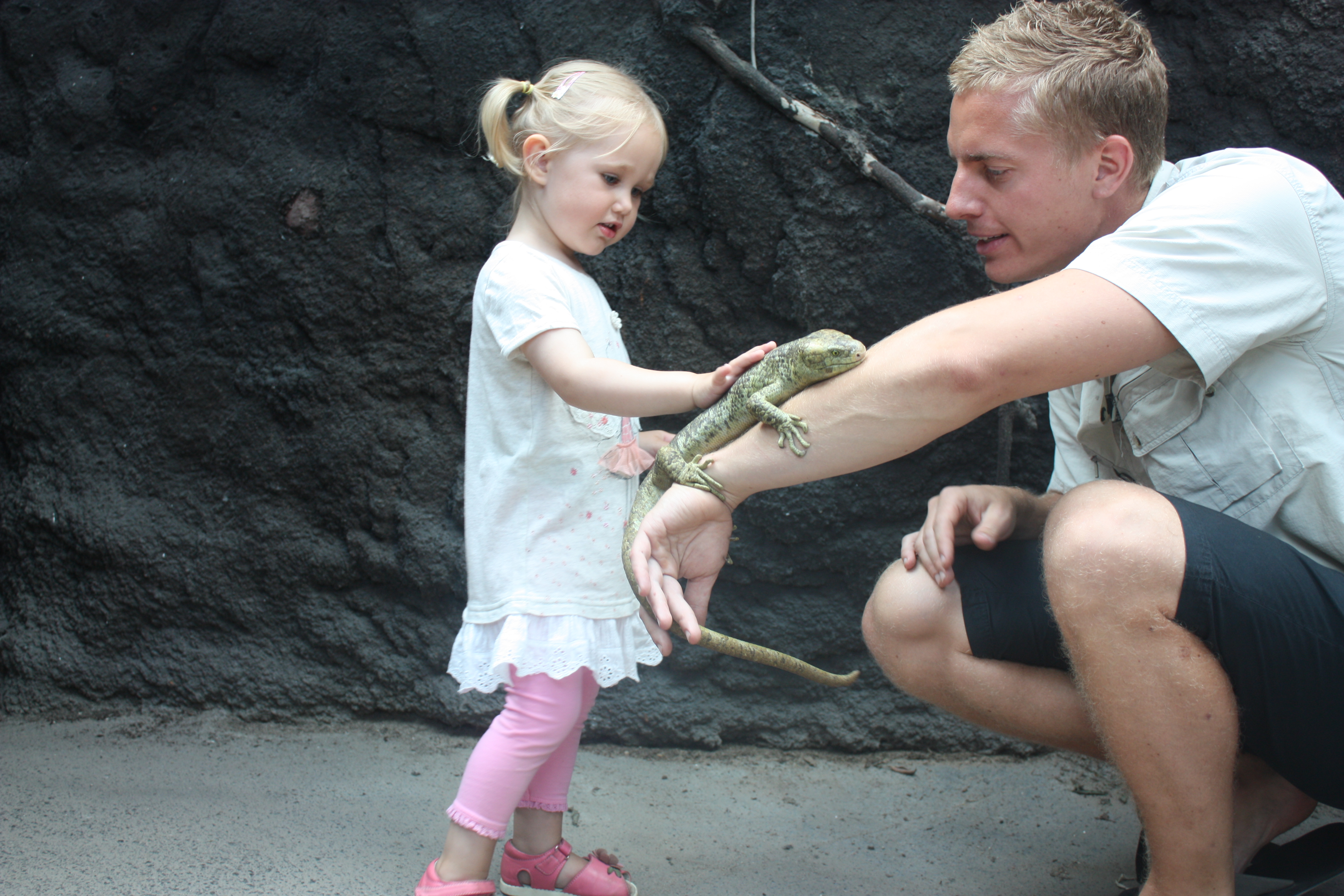 Imonggo POS Official Site - Free Online Web-based Point of Sale System